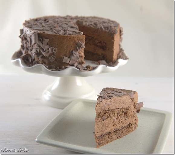 CAKE ON THE BRAIN: CAKEBRAIN’S BEST MINI CHOCOLATE MOUSSE LAYER CAKE